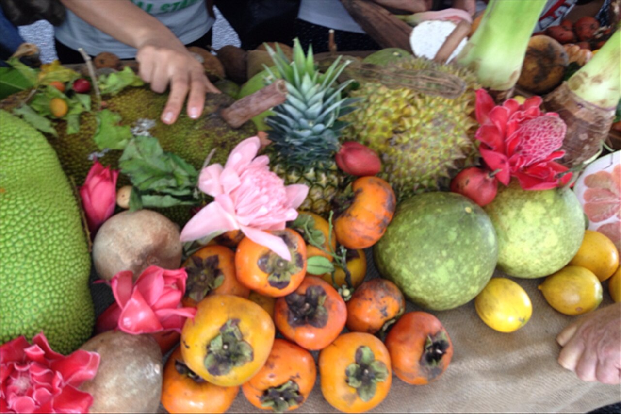 Dare to be different: the joy of growing exotic vegetables - ABC listen