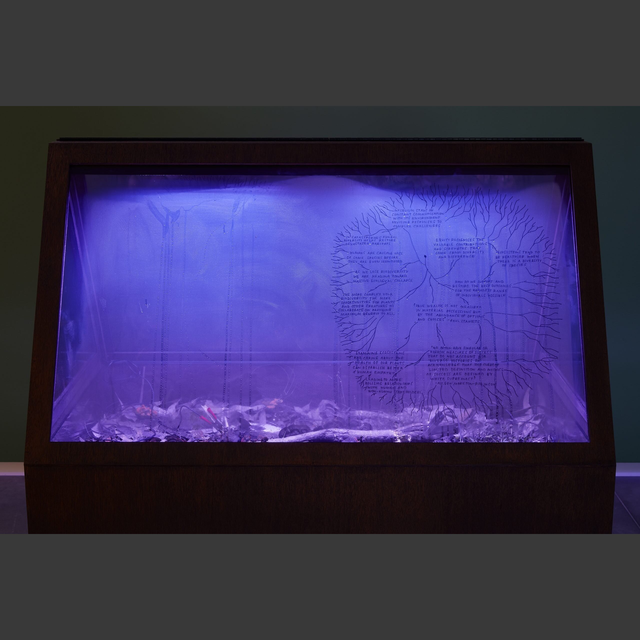 The Science Show with Robyn Williams - ABC listen