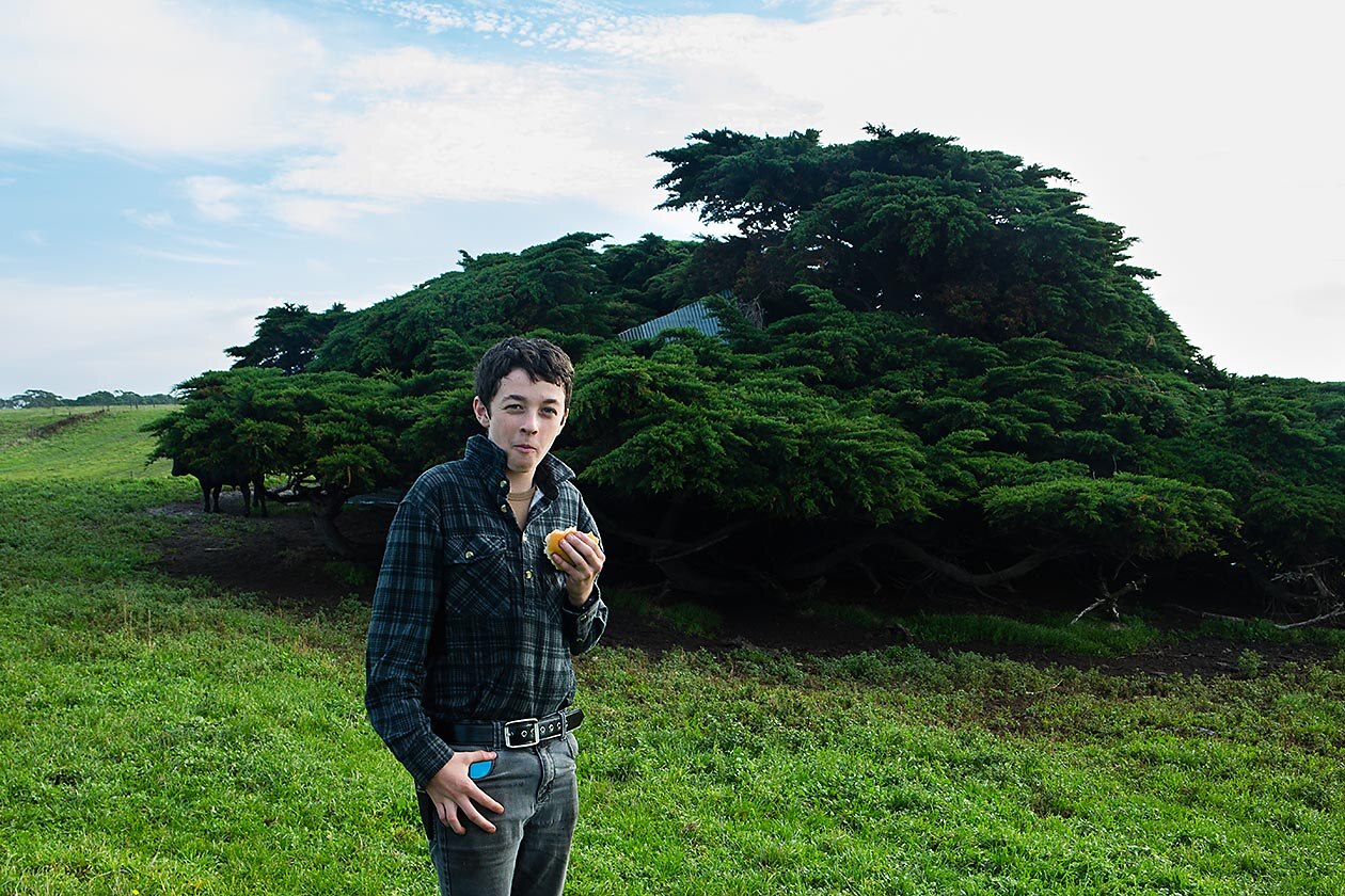 Jackson's Robbins Island treehouse - ABC listen