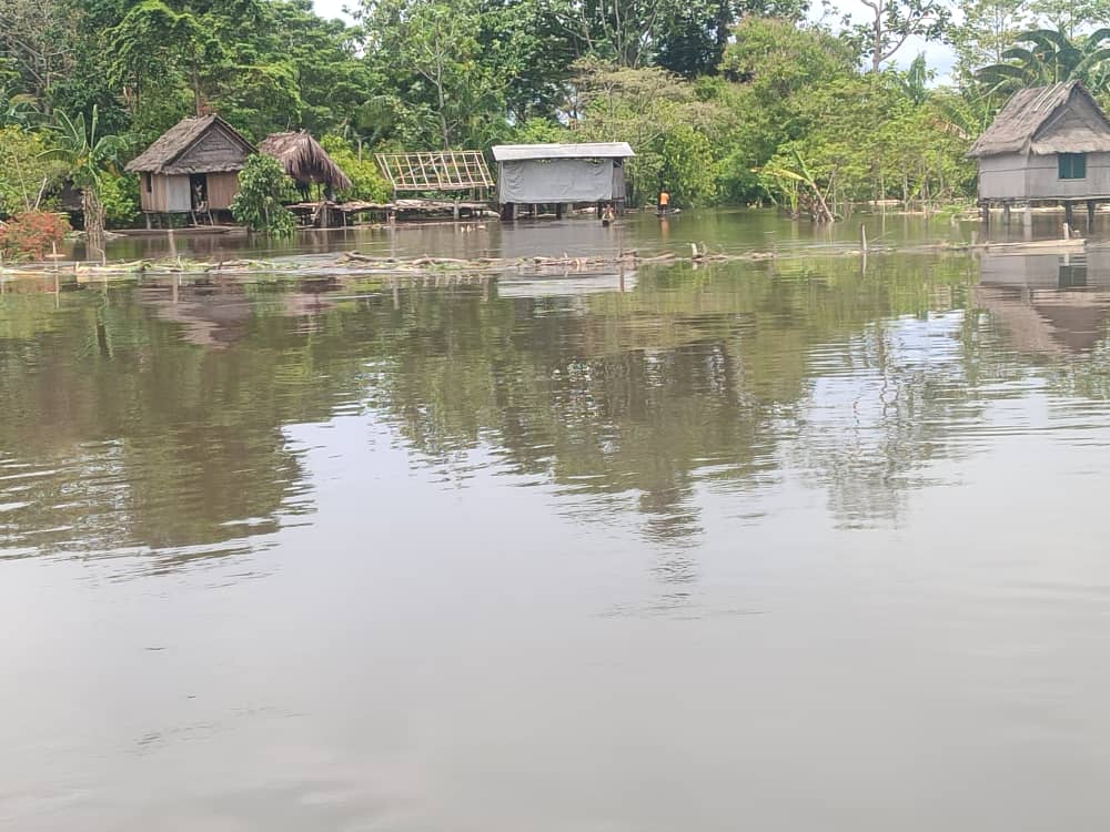 Spencer Leniu's 'monkey' slur sparks debate over racism between ...