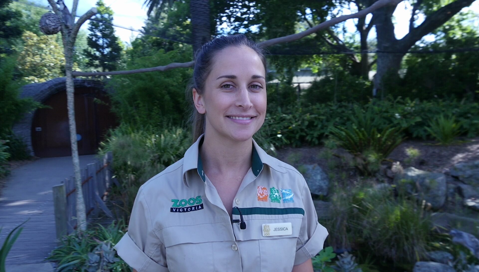 Get My Job: A day in the life of a zookeeper - ABC Education