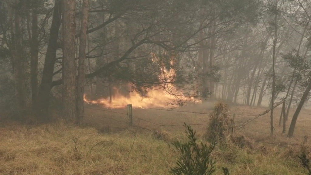 NSW bushfires: Bega, Ulladulla and Nowra fires downgraded but still out ...