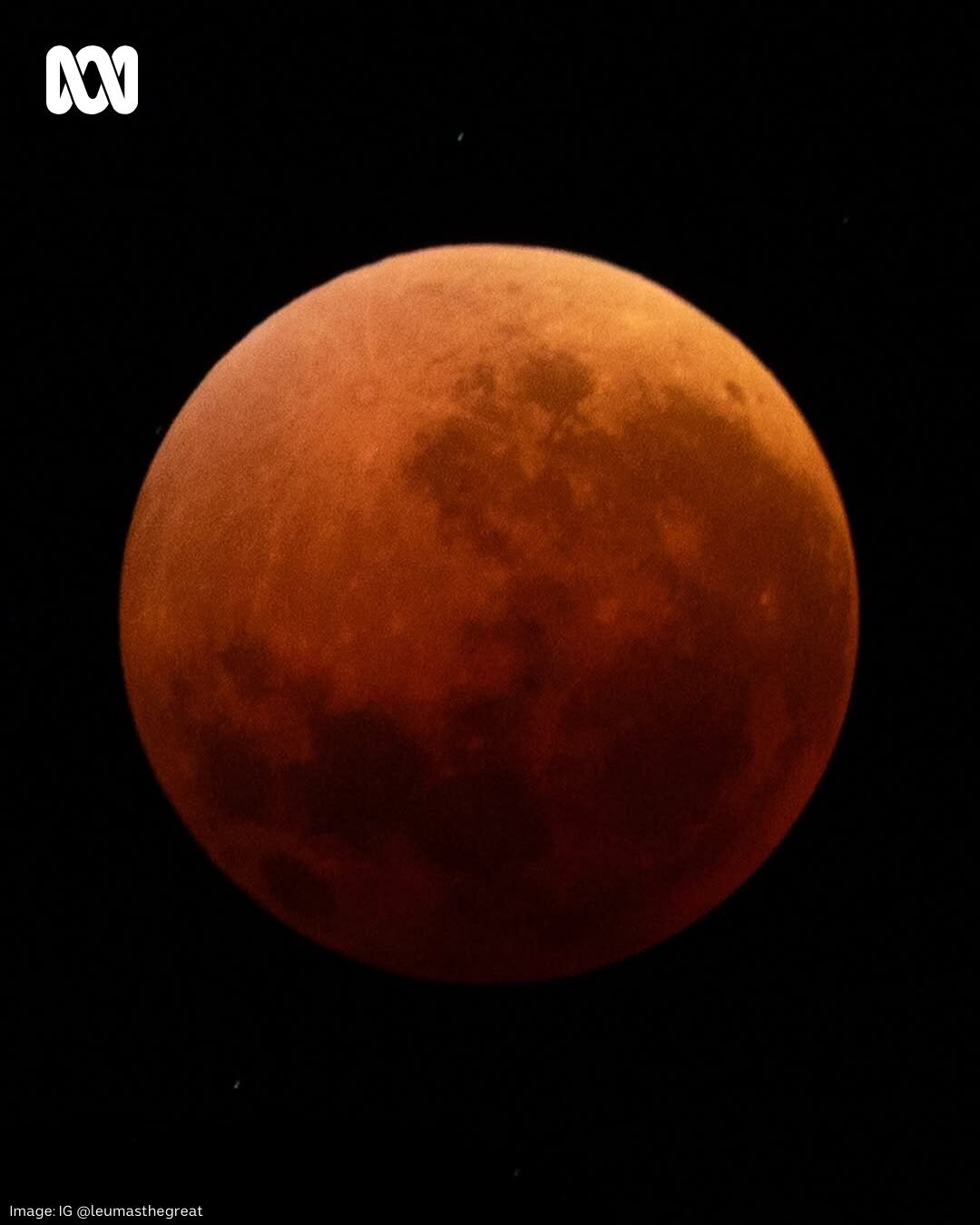 Take two! Adelaide Crow's faithful line up overnight for AFL semi ...