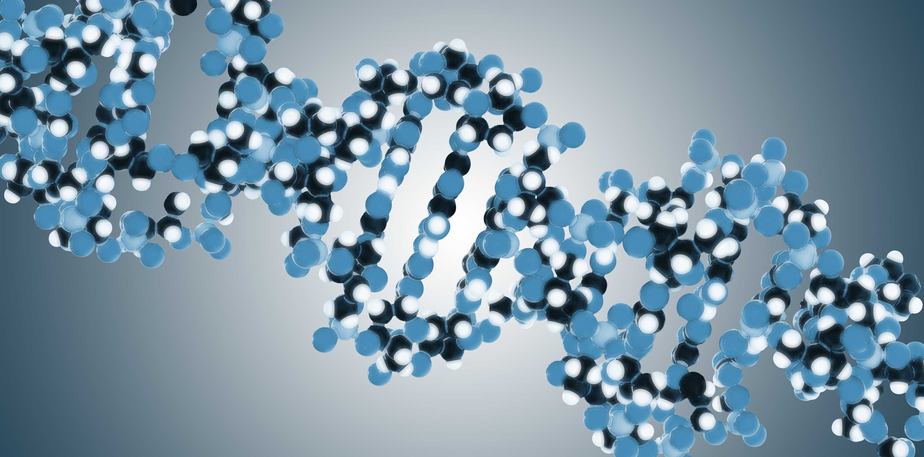 Papua New Guinean DNA offers insight into disease resilience - ABC Pacific