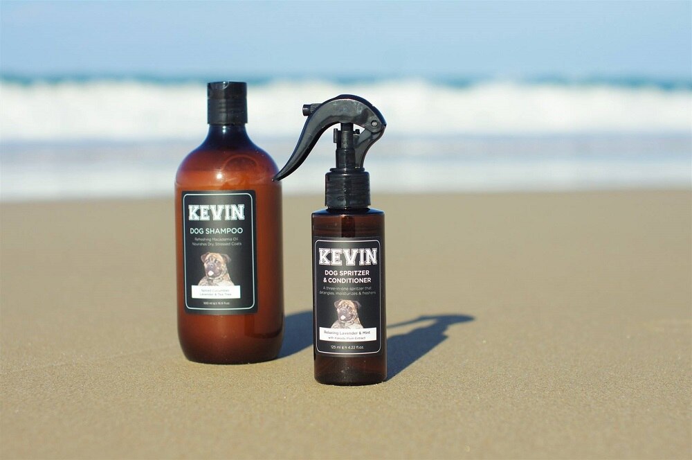 Cologne for dogs? Miniature bulldog inspires Kevin, the Fragrance, for ...