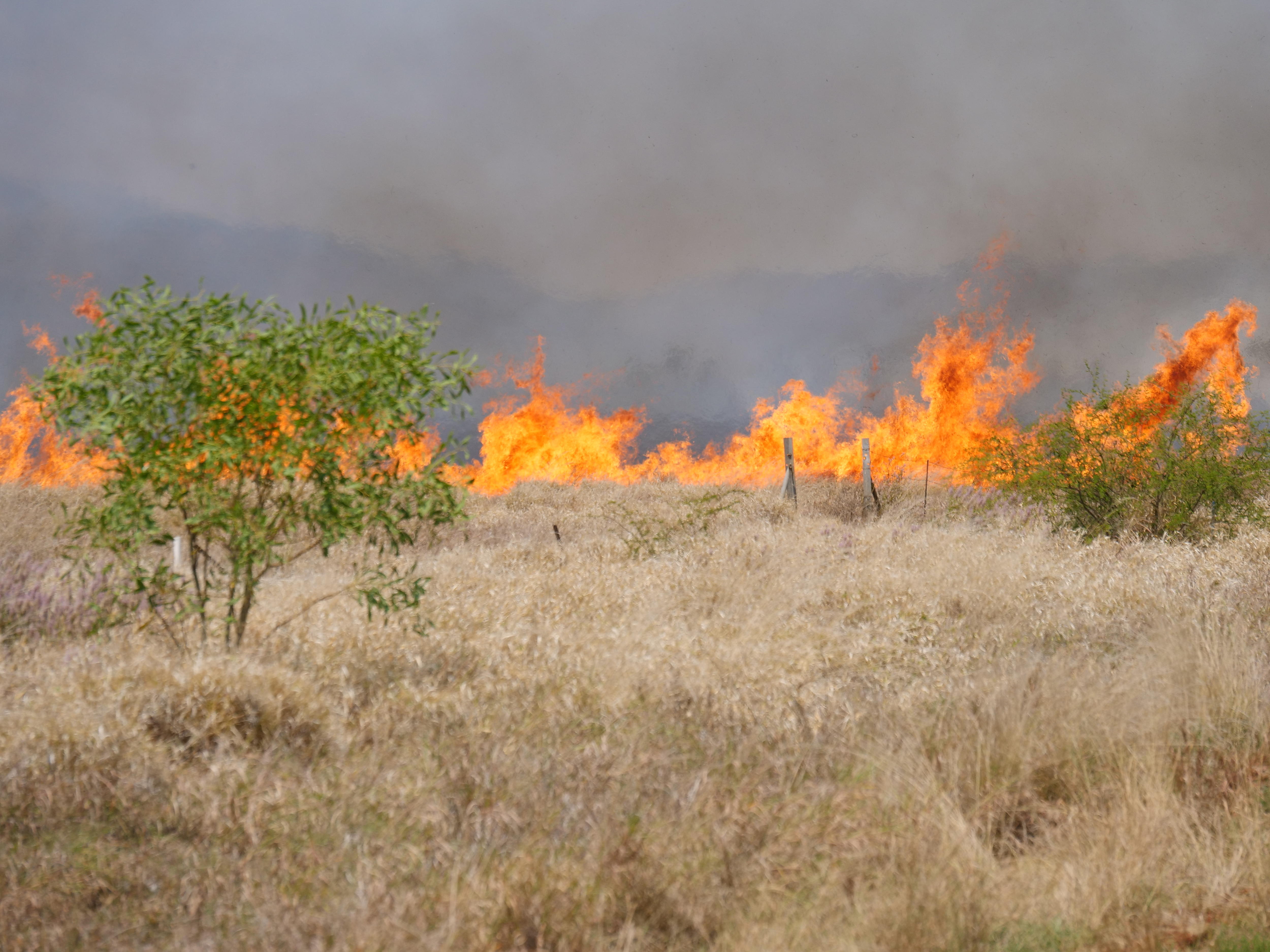 Bushfire alert downgraded, residents urged to be vigilant as bushfire ...