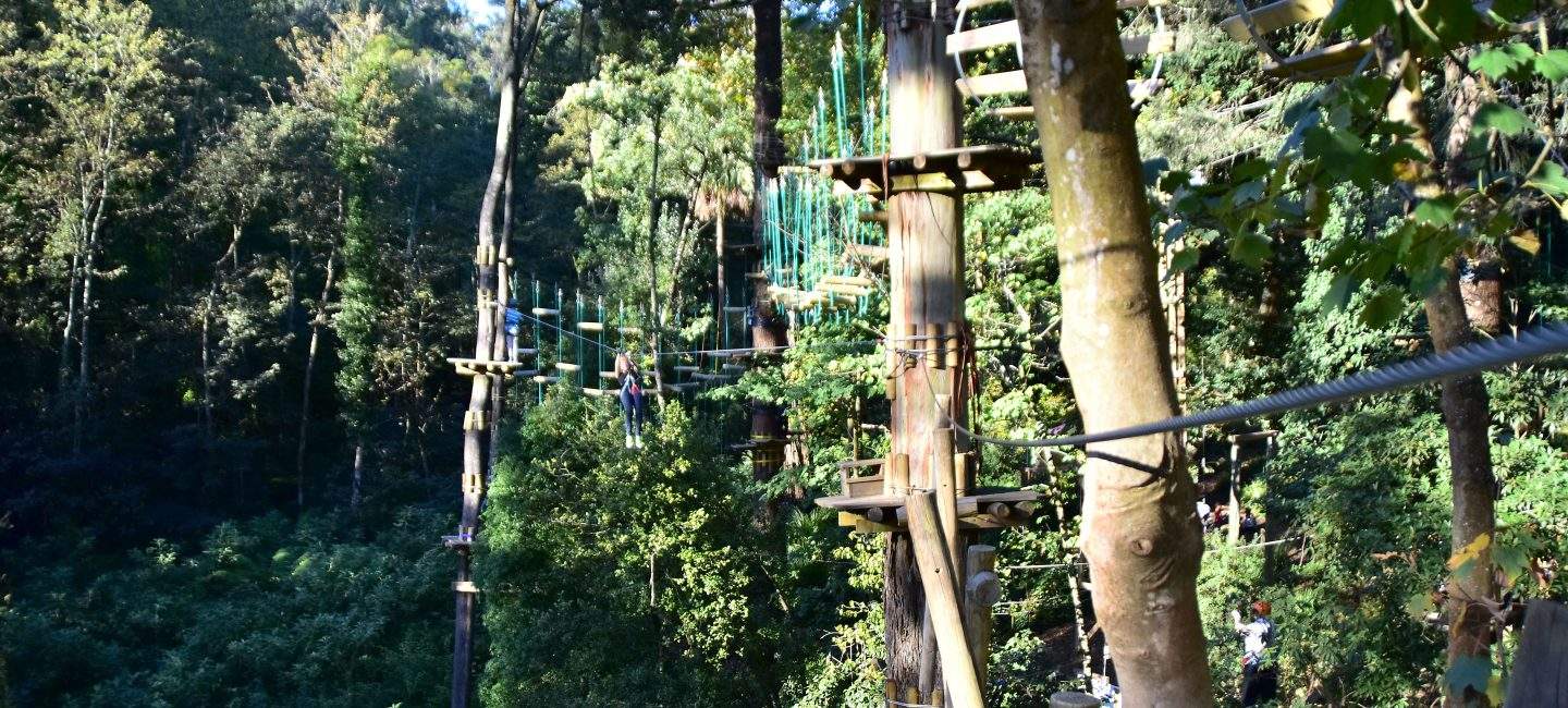 Darwin high-ropes adventure park on the way - ABC listen