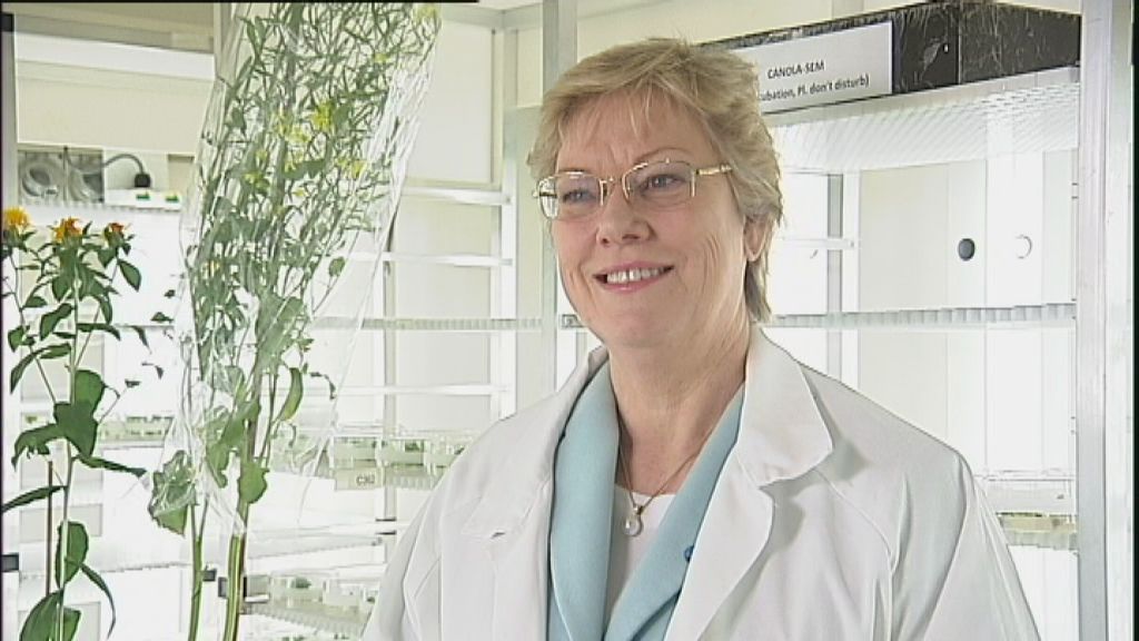 CSIRO head Dr Megan Clark honoured - ABC News