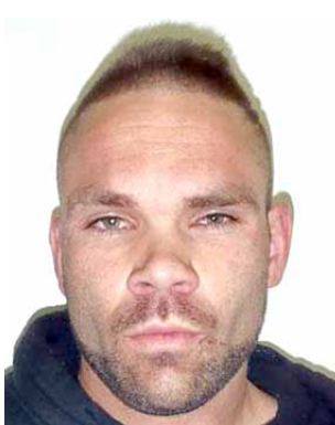 Police hunt Joshua Bolton over alleged stalking, other incidents - ABC News