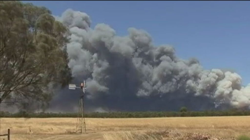 Crews hoping for upper hand over SA bushfire - ABC News