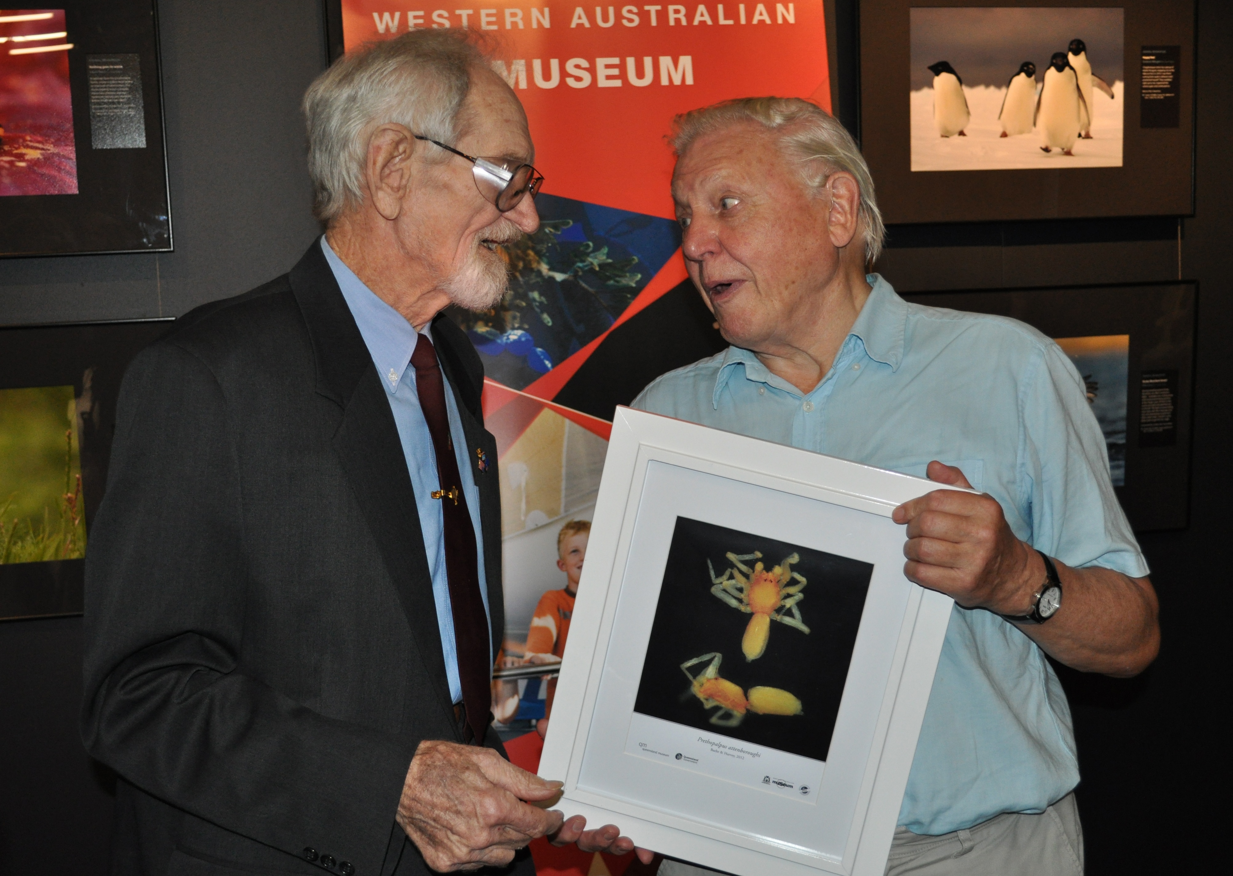 Harry Butler: Conservationist dies of cancer in Perth aged 85 - ABC News