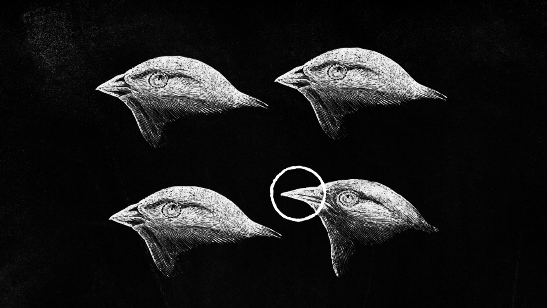 Science Week Special (Ep 22), 2024 - Behind The News