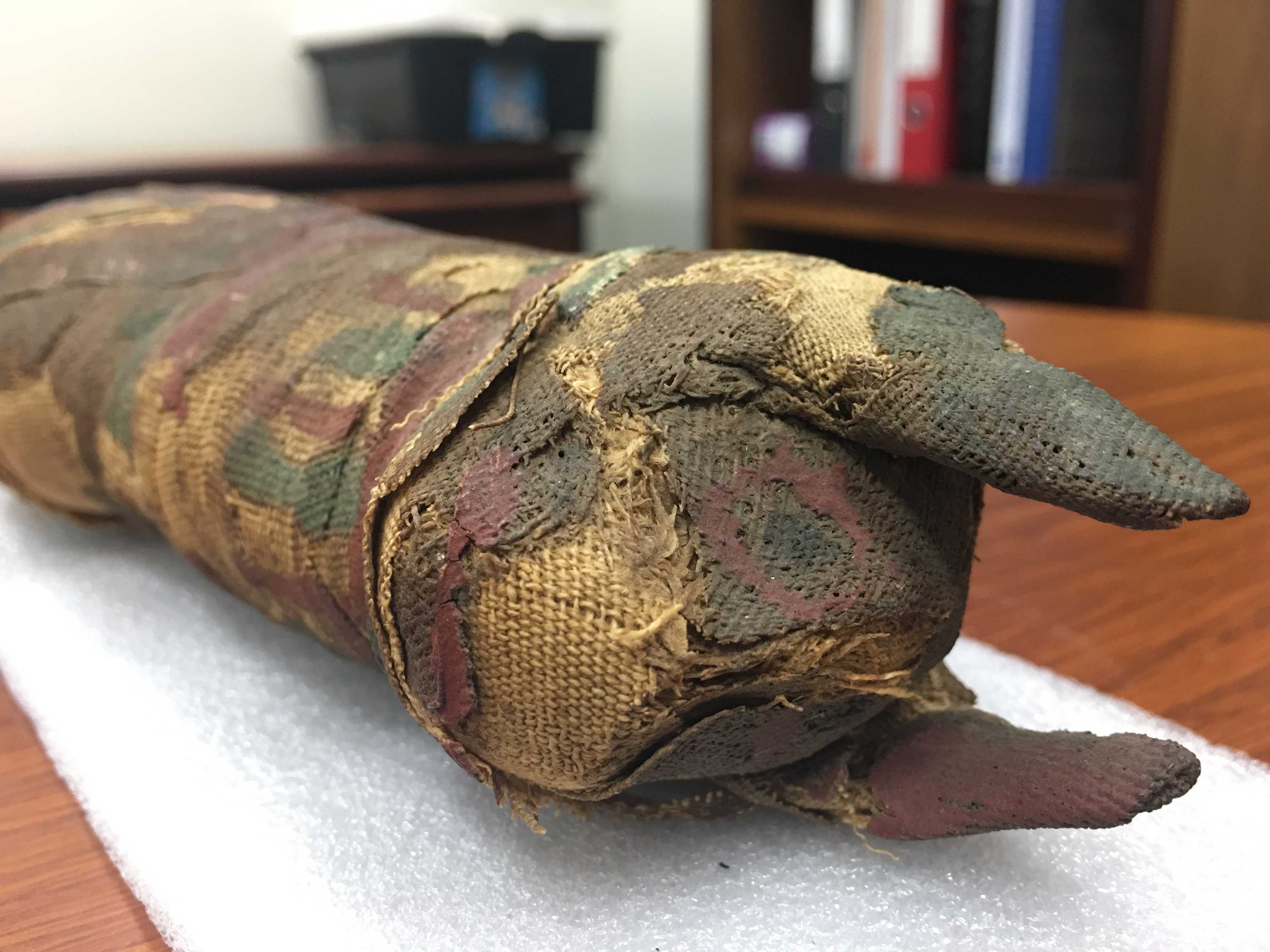 Secrets of mummified cats and ancient tablets revealed by imaging ...