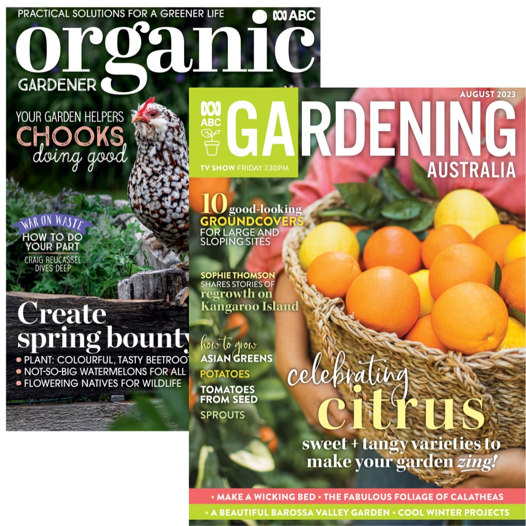 ABC Magazine Subscriptions - ABC Shop