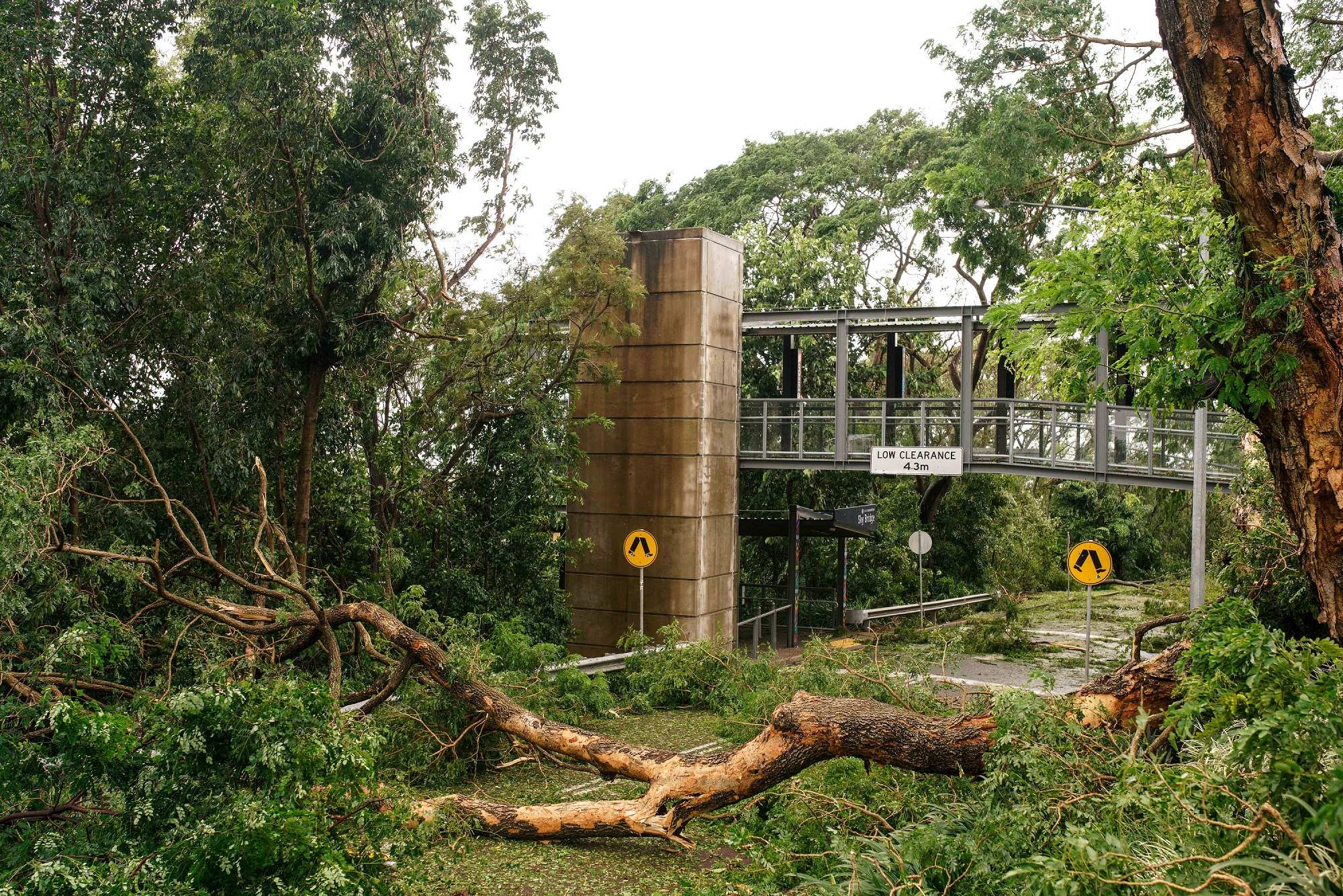 Cyclone Marcus: What you need to know at a glance - ABC News