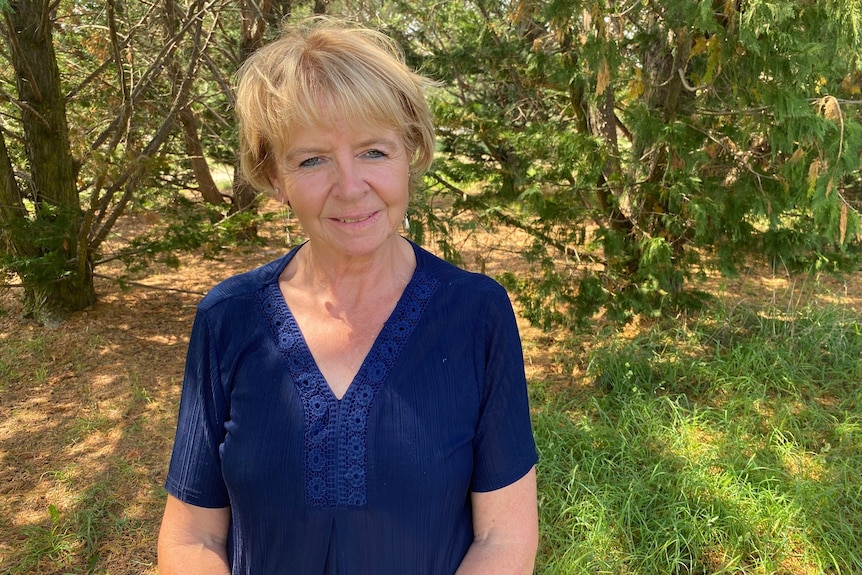 Development application for $71m Bungendore High School ruled invalid ... Development application for $71m Bungendore High School ruled invalid ...