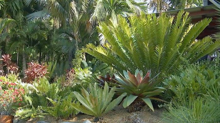 Double Delight - Gardening Australia