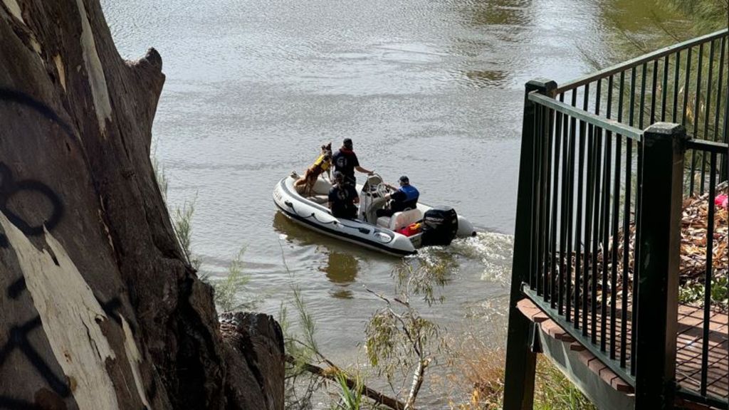 Search continues for teen who went missing during a late afternoon swim ...