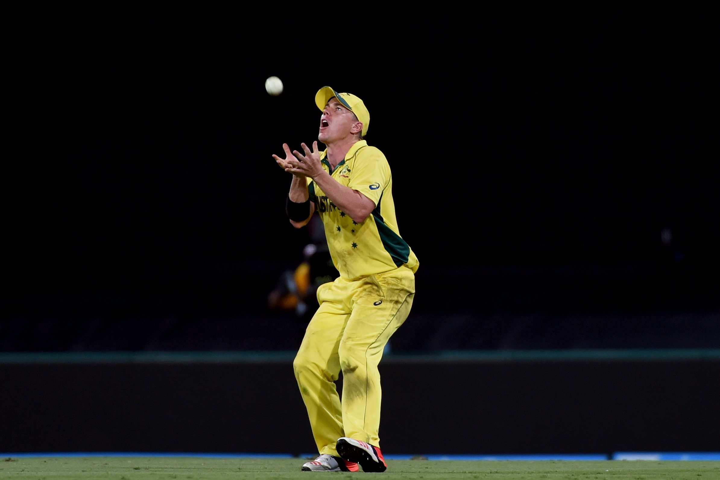 Xavier Doherty retires from cricket after playing four Tests and ...