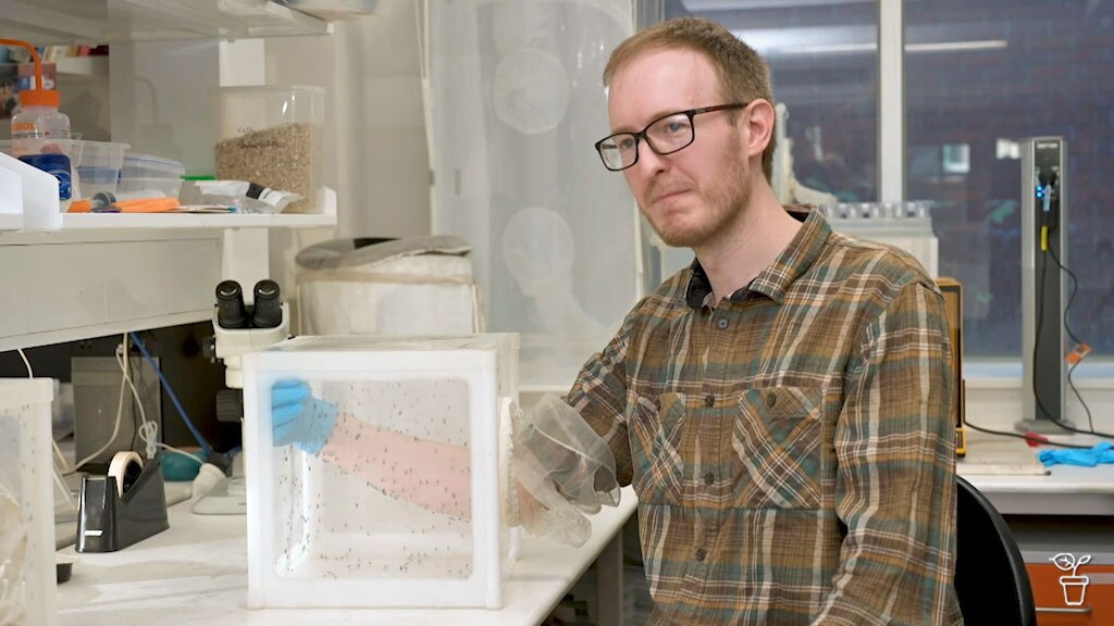 2024 | SERIES 35 | Episode 36 - Gardening Australia