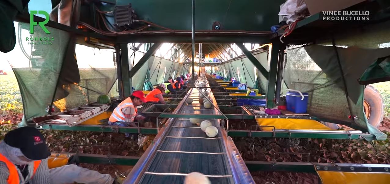 Rockmelon listeria: Rombola Family Farms named as source of outbreak ...