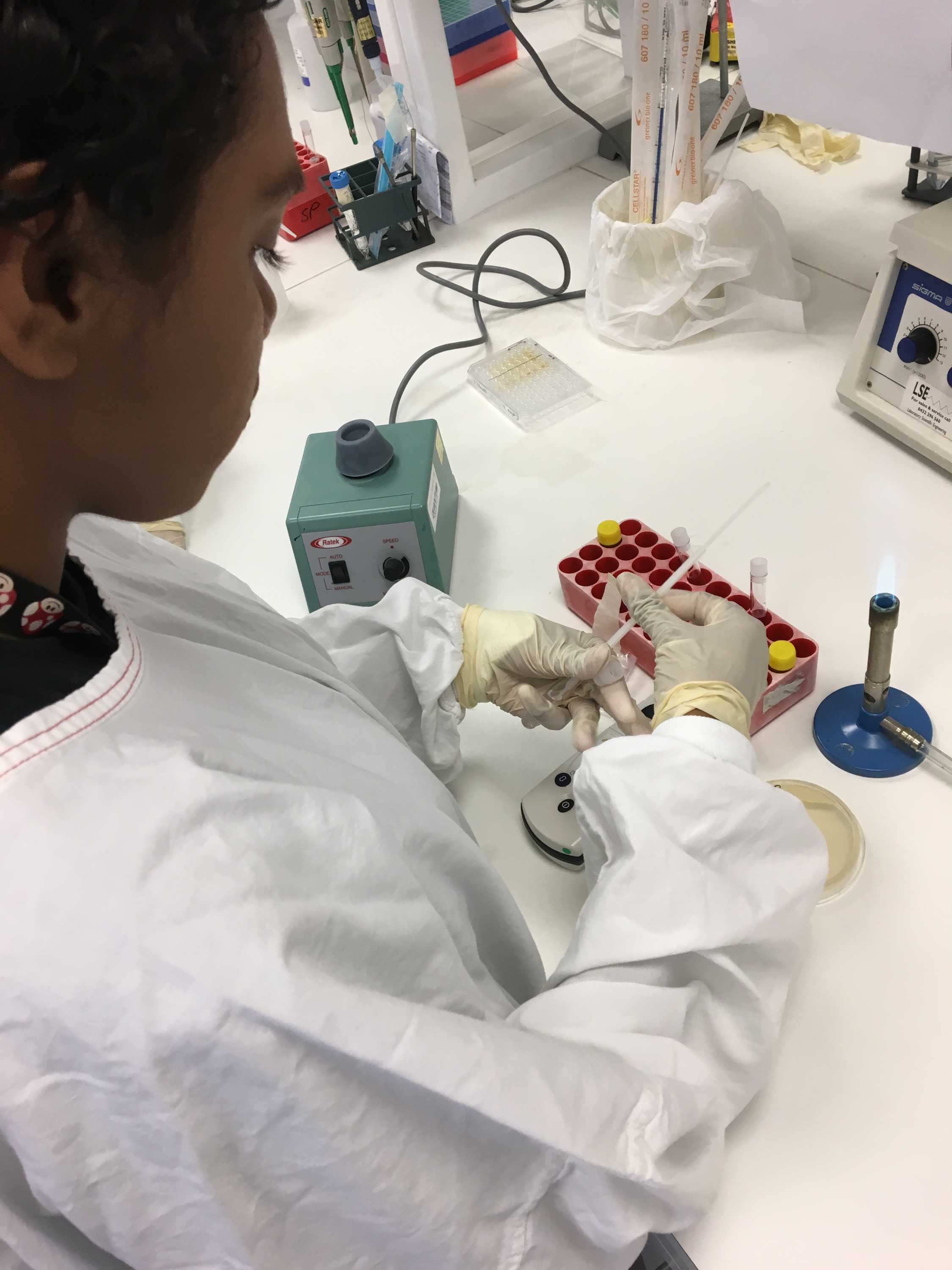 Bush medicine opportunities go under the microscope - ABC listen