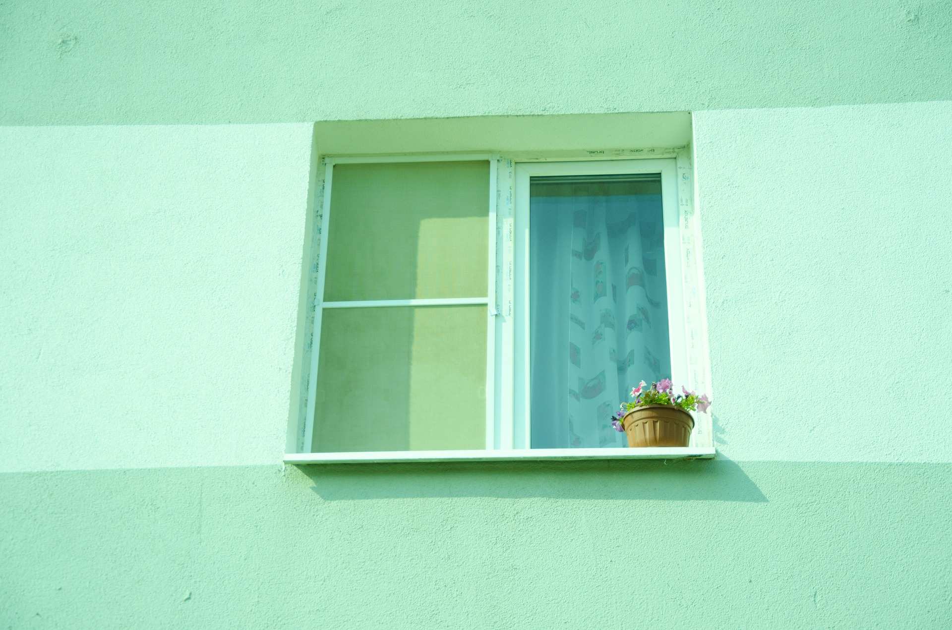 Hedge, ledge or edge? - ABC Education