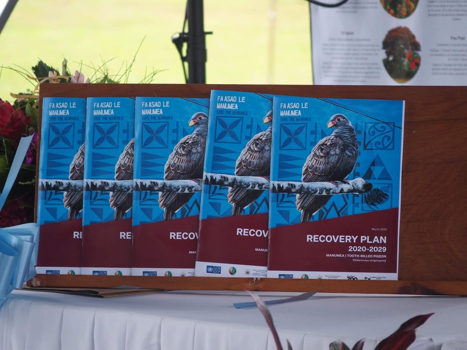 Samoa Conservation Society targets hunters in new campaign to save the ...