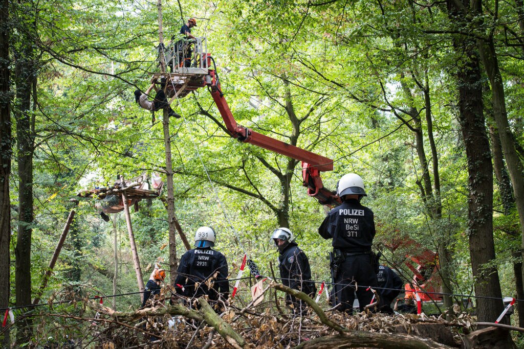 Environmental activist killings double as corruption identified as key ...