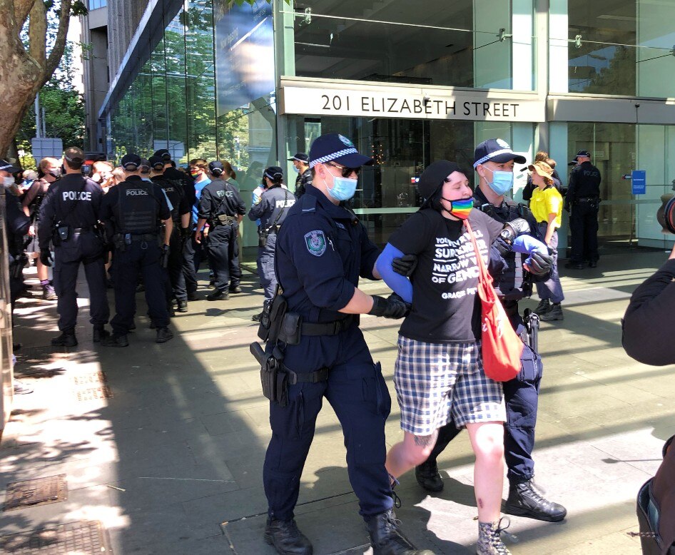 NSW Police make arrest and issue $1,000 fines at banned Sydney rally ...