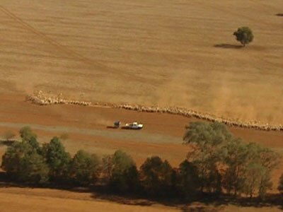 Drought-affected towns feel the pinch - ABC News