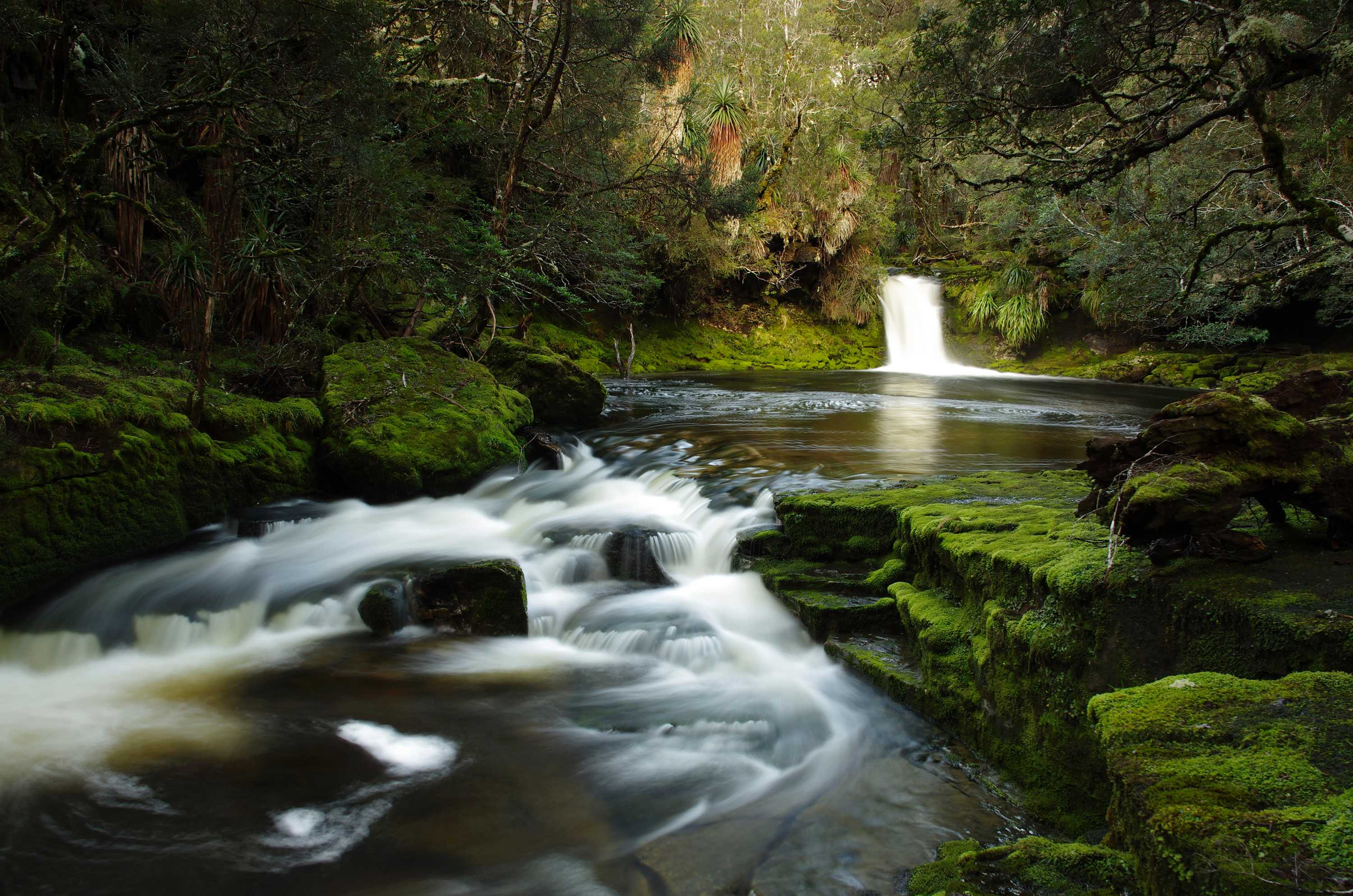 Bush snapshot: Tasmanian bushwalking shutterbugs capture 60 years - ABC ...