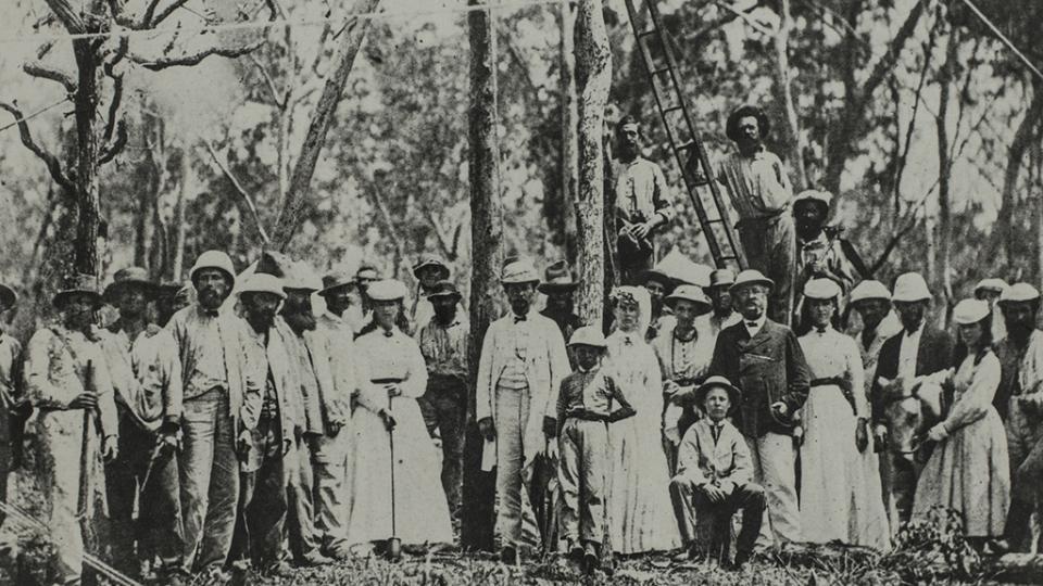 Life in Early Darwin: Life in the settlement - ABC Education