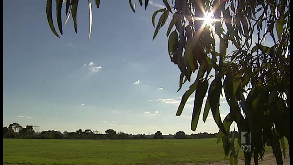 Pave the parklands plan - ABC News