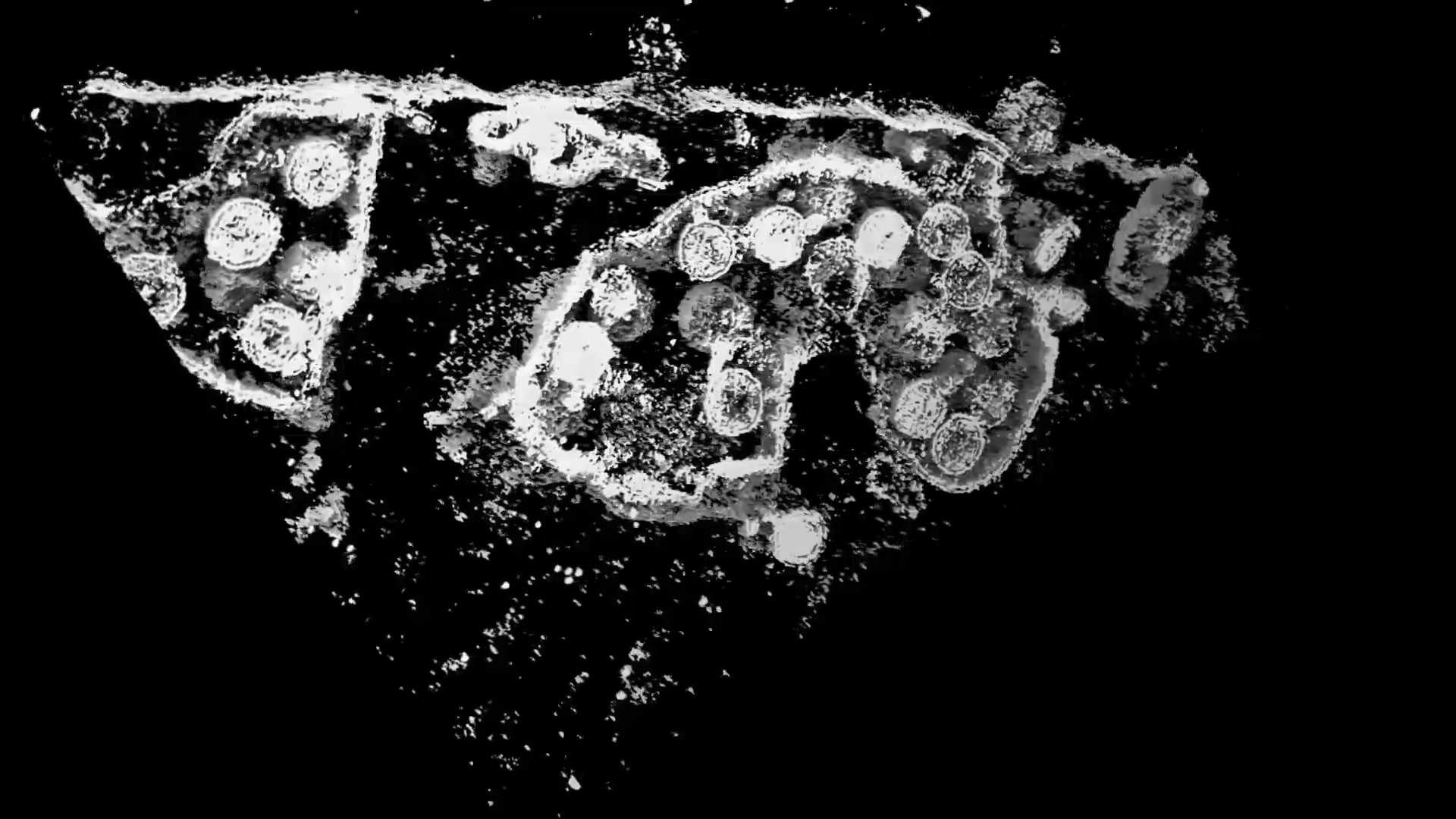 Black and white tomography - ABC News