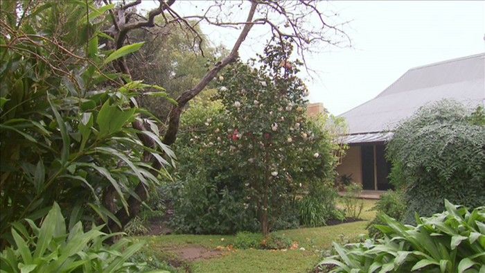 Elizabeth Farm - Gardening Australia