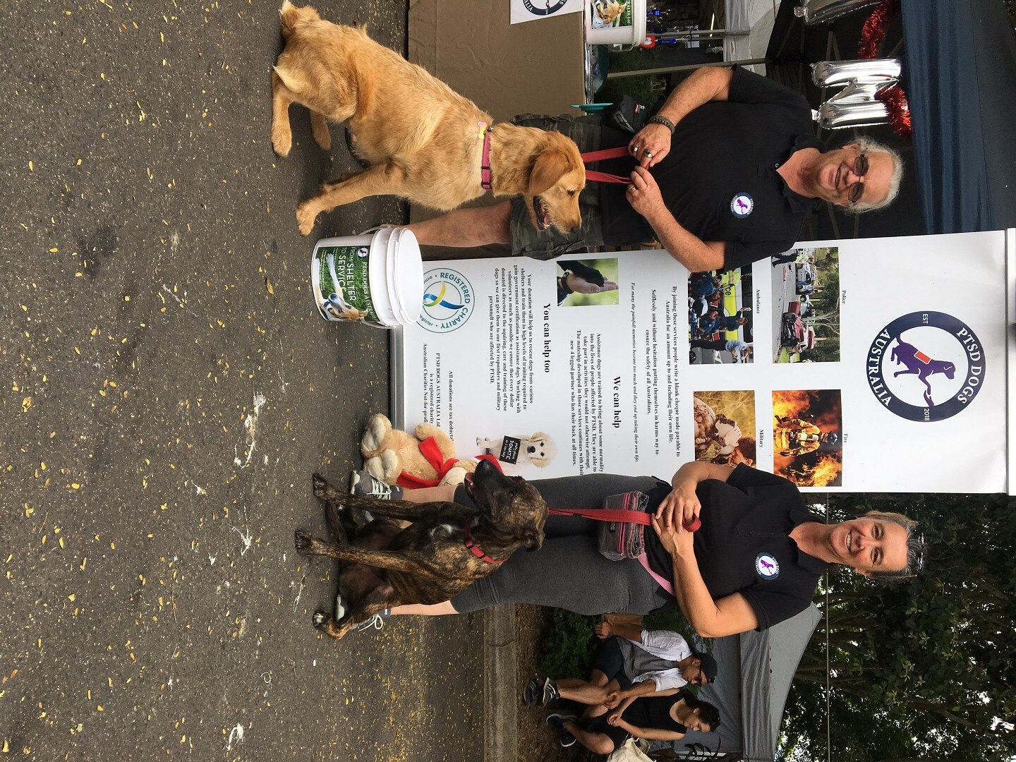 PTSD dogs trained to help PTSD sufferers - ABC listen