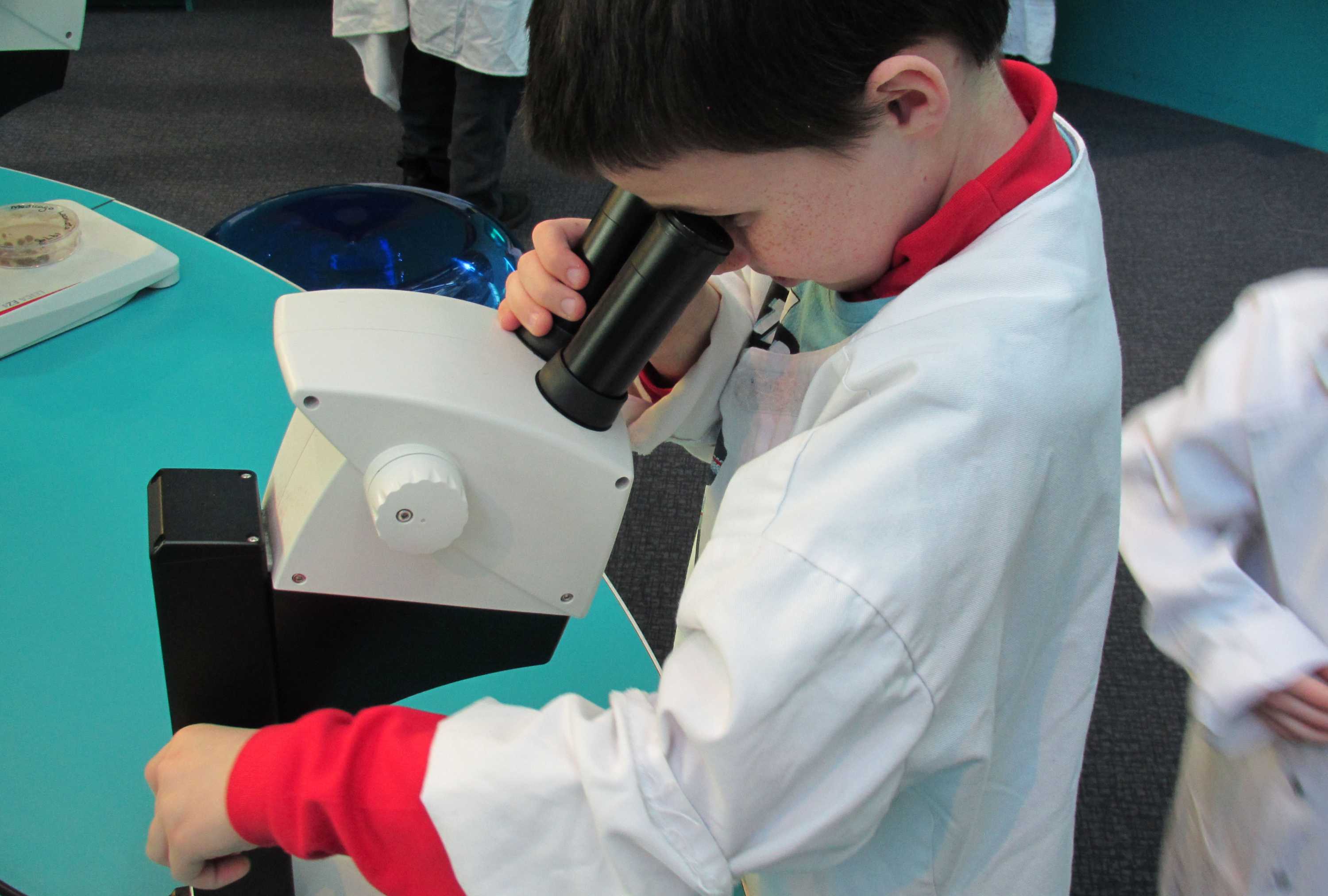 Schools test new approaches to science, technology, engineering and ...