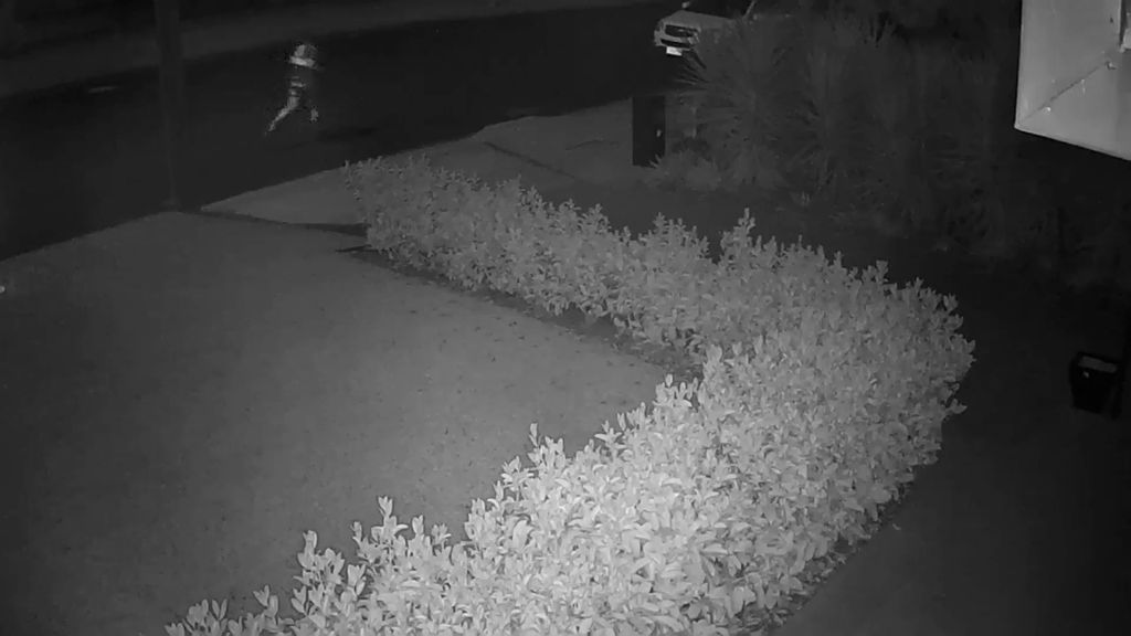 CCTV footage of a man seen in the area at the time of the alleged ...