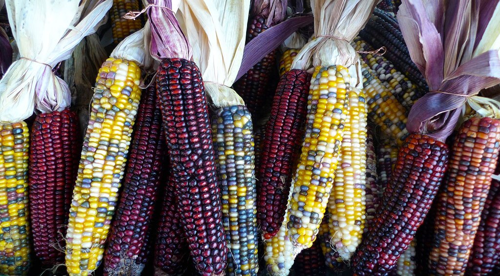 Mexican food's Aztec roots - ABC Radio National