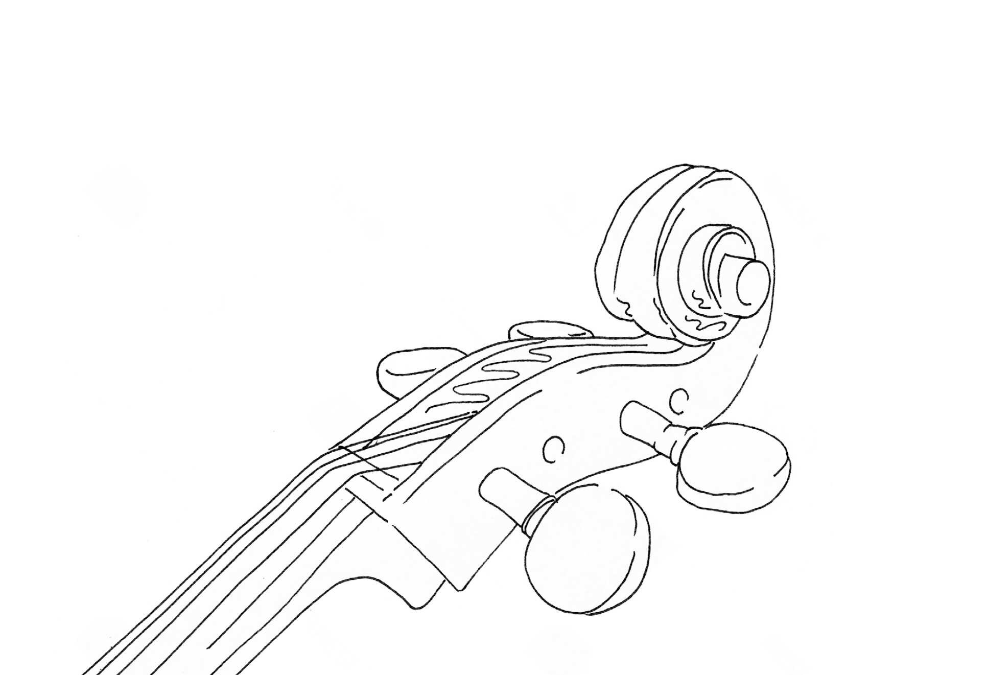 Cello Scroll Drawing