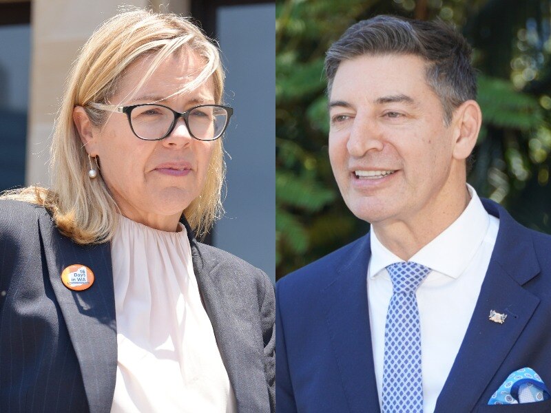 Libby Mettam survives leadership test, but failed campaign reveals ...