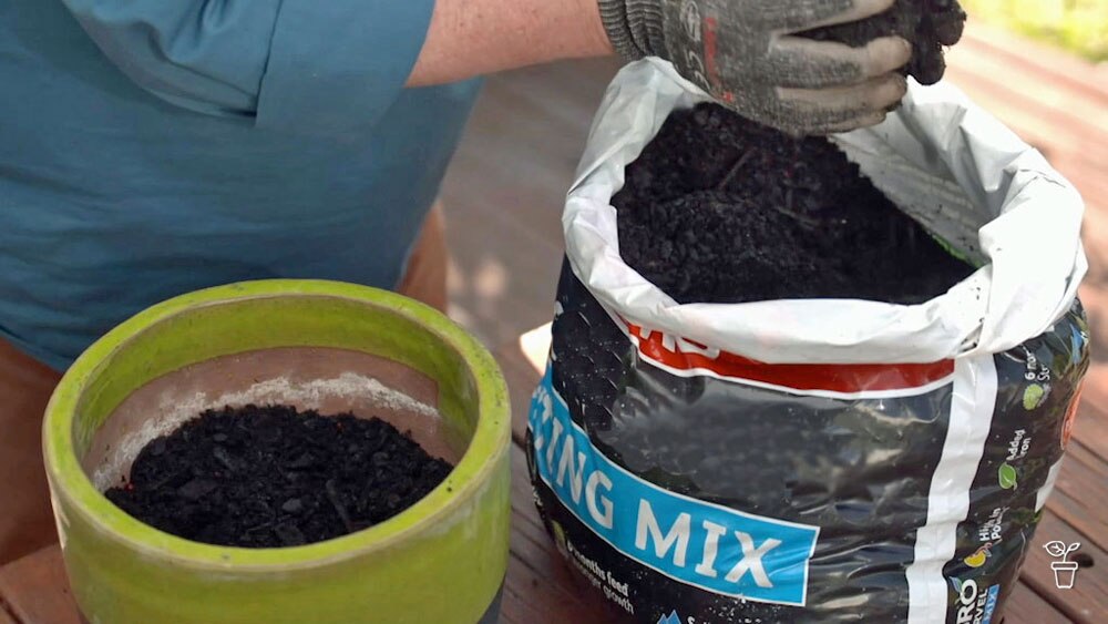 Top Tip | Potting Mix Safety - Gardening Australia