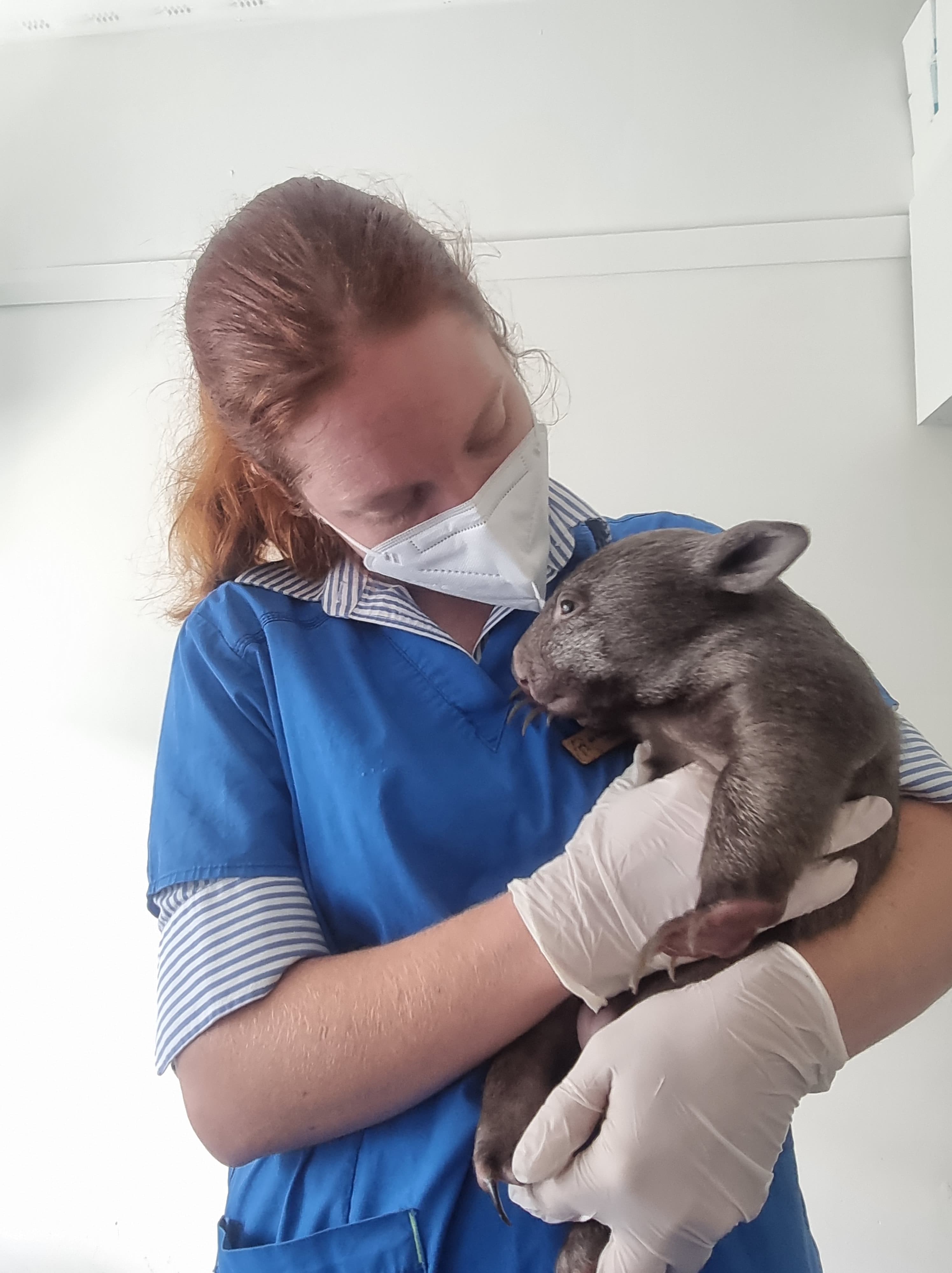 Wildlife vets refect on 'heartbreaking, confronting, rewarding' career ...