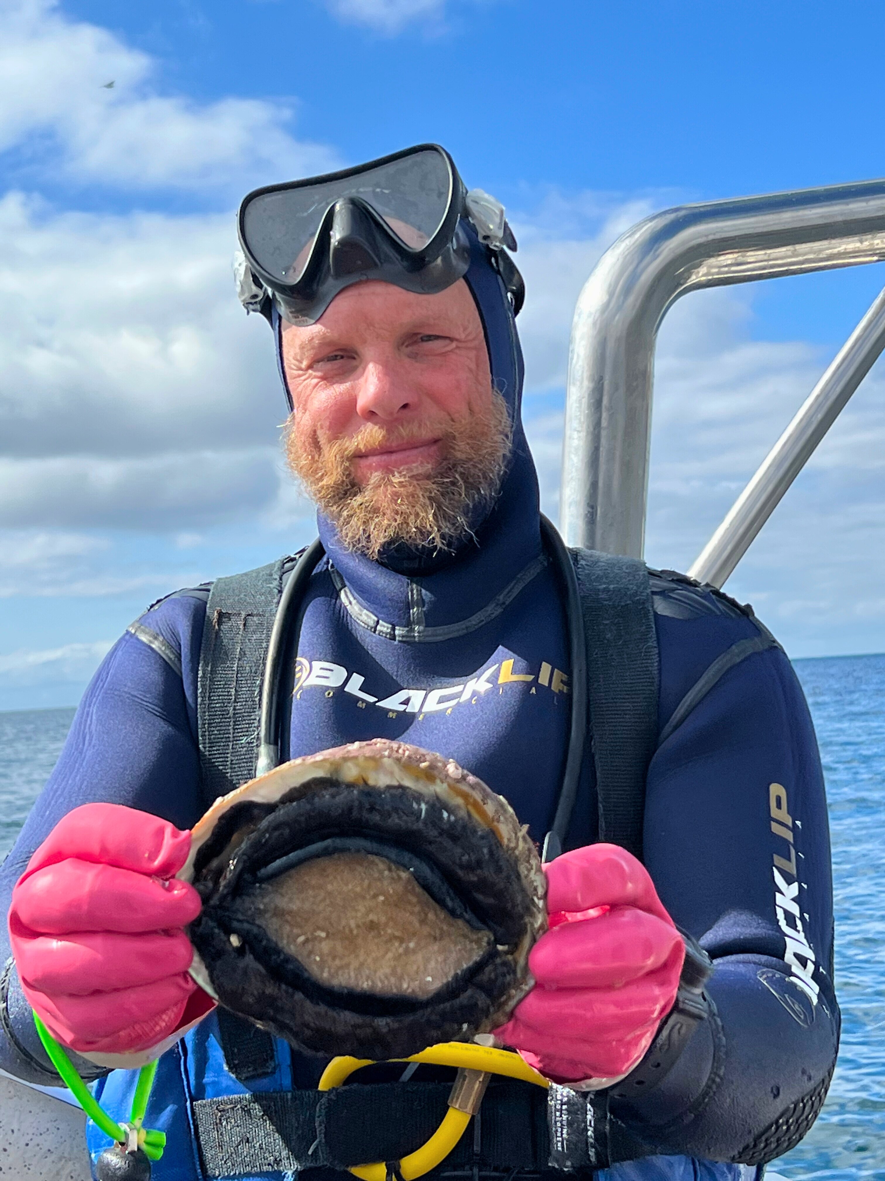 Rare Antarctic orcas put on playful show for New South Wales abalone ...