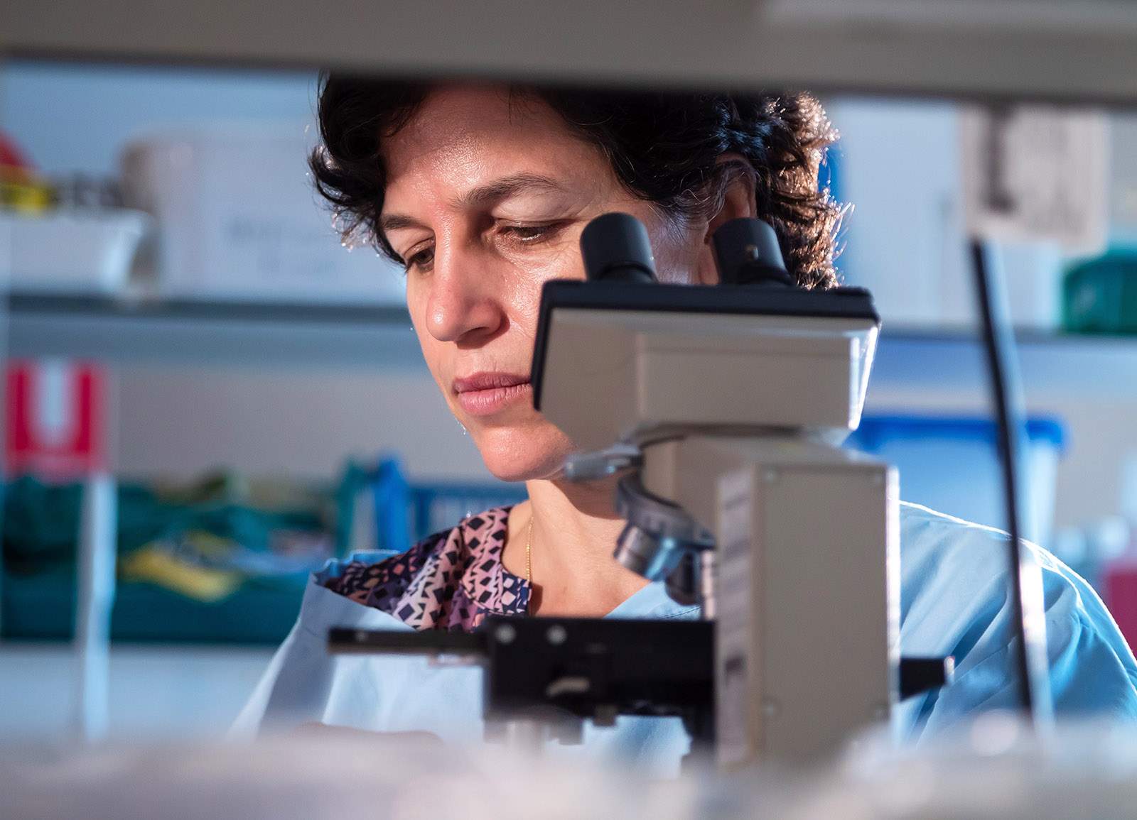 Prime Minister's science prize honours Brisbane researcher's crystal ...