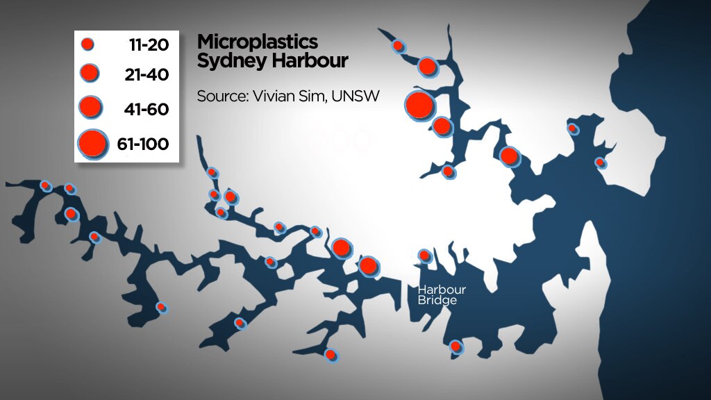 Invisible threat: Microplastic contamination discovered on bottom of ...