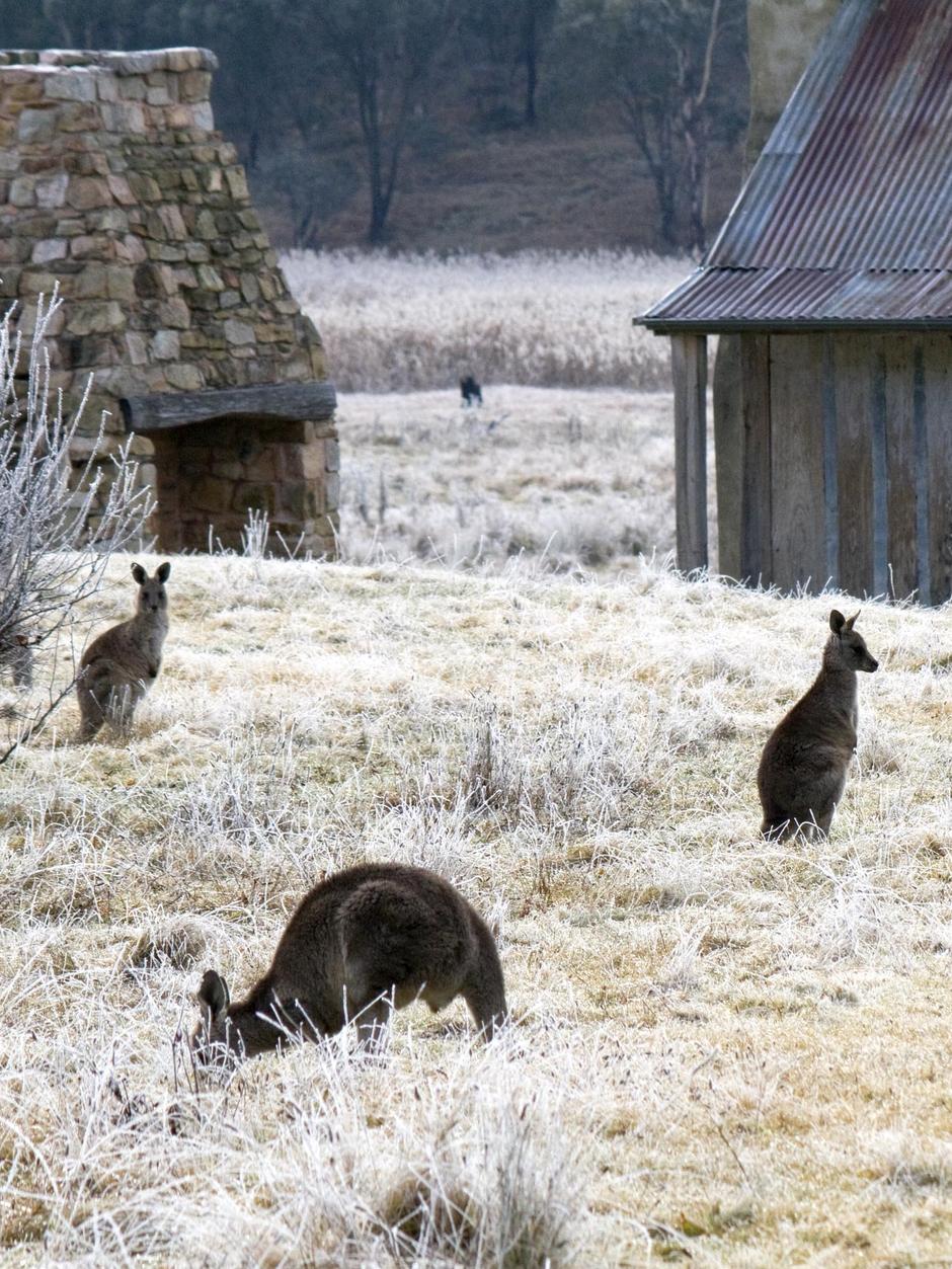 Frost-inducing high pressure systems could be more common in future ...