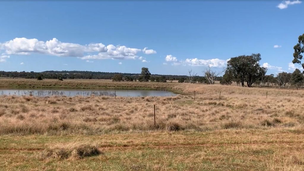 TAFE Queensland's Kingaroy farm. - ABC News