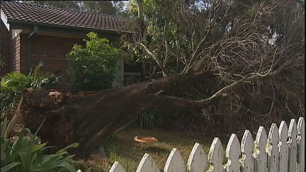 Southern Qld storm hits roofs and power lines - ABC News